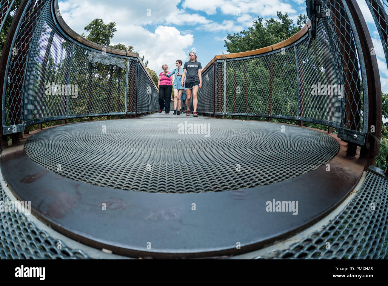 Tree Top Walkway - Kew Gardens Stock Photo - Alamy