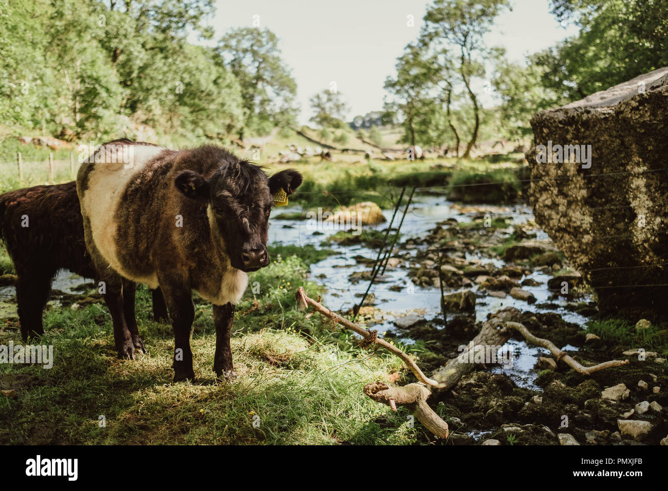 Malham cove waterfall hi-res stock photography and images - Alamy