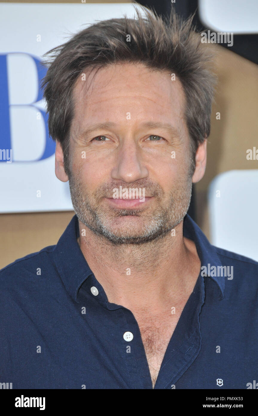 David Duchovney at the CBS, Showtime & CW 2013 Summer TCA Party in ...