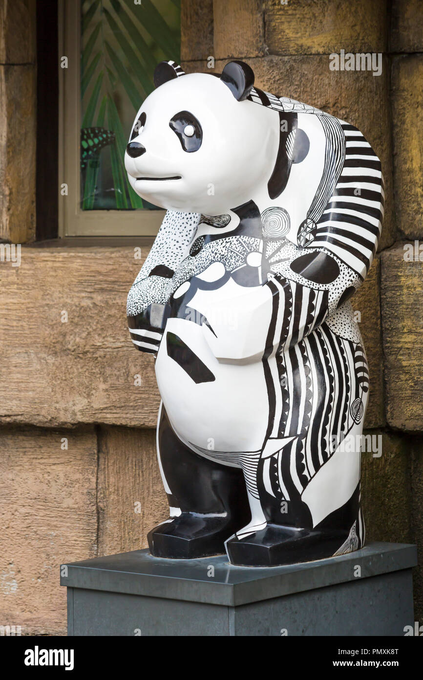 Pop-up panda - cute panda statue sculpture, forming part of an art ...