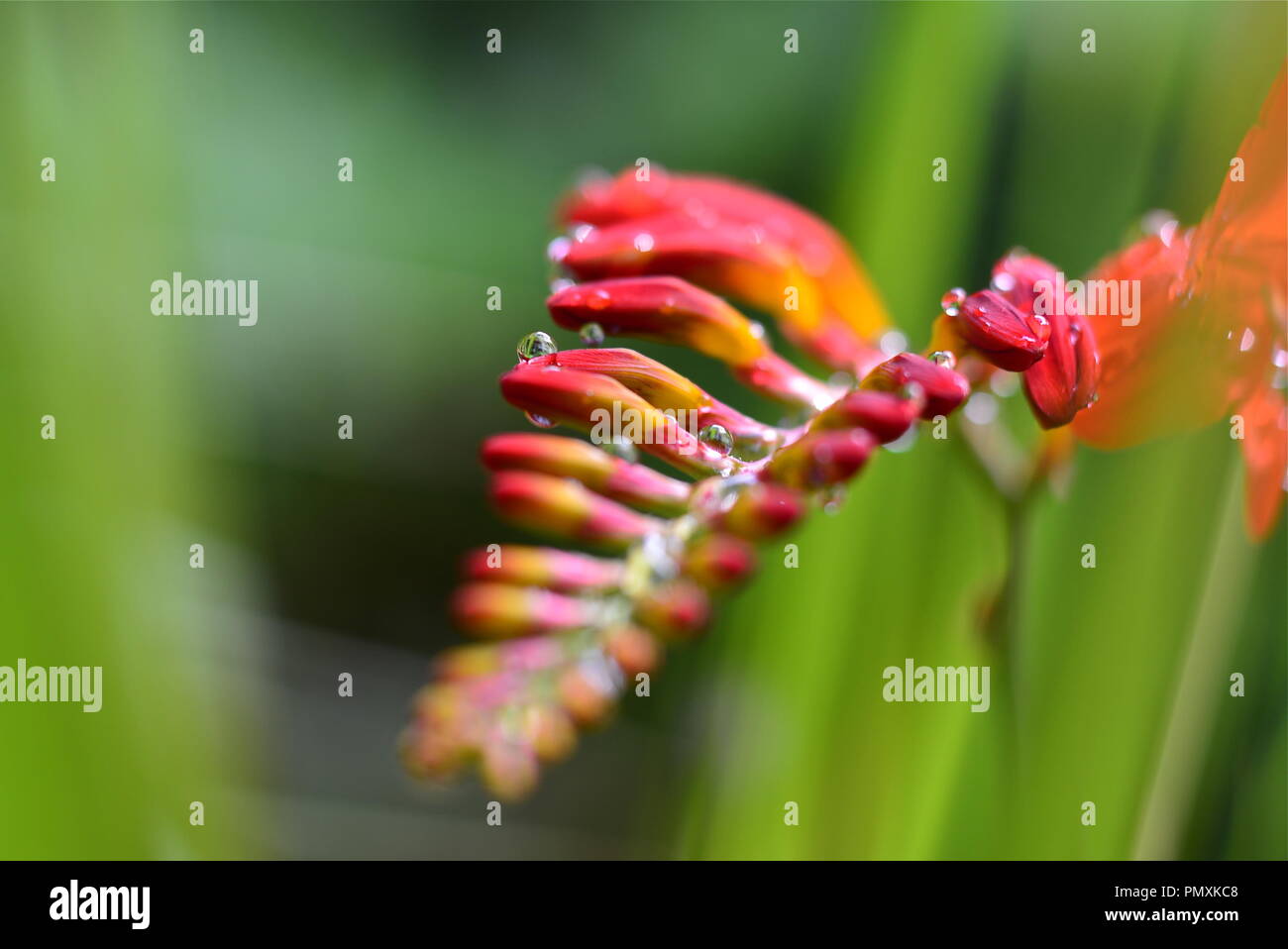 Fire and shade hi-res stock photography and images - Alamy