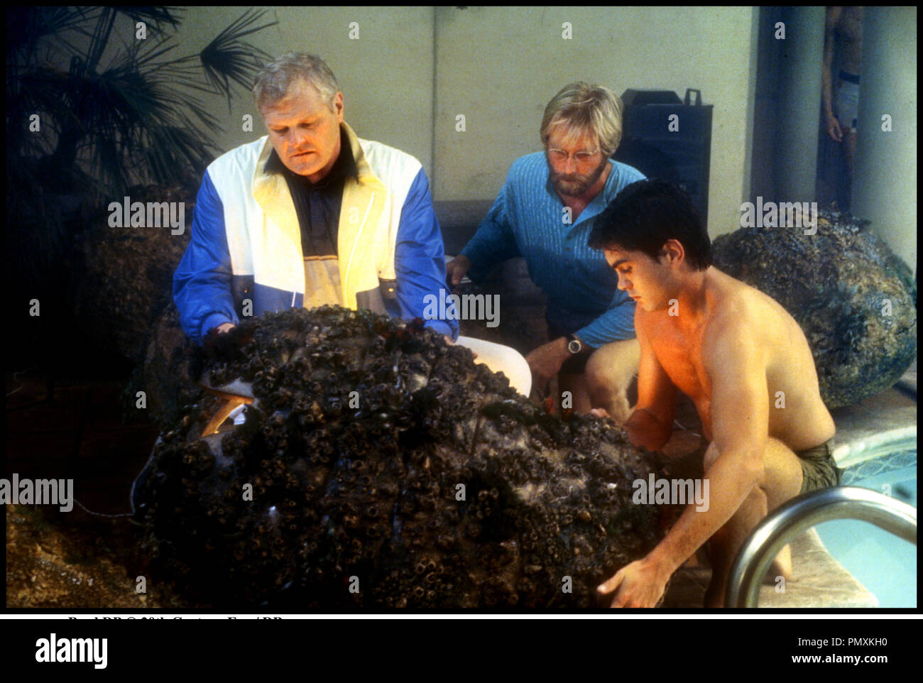 Cocoon 1985 Brian Dennehy Stock Photos & Cocoon 1985 Brian Dennehy ...