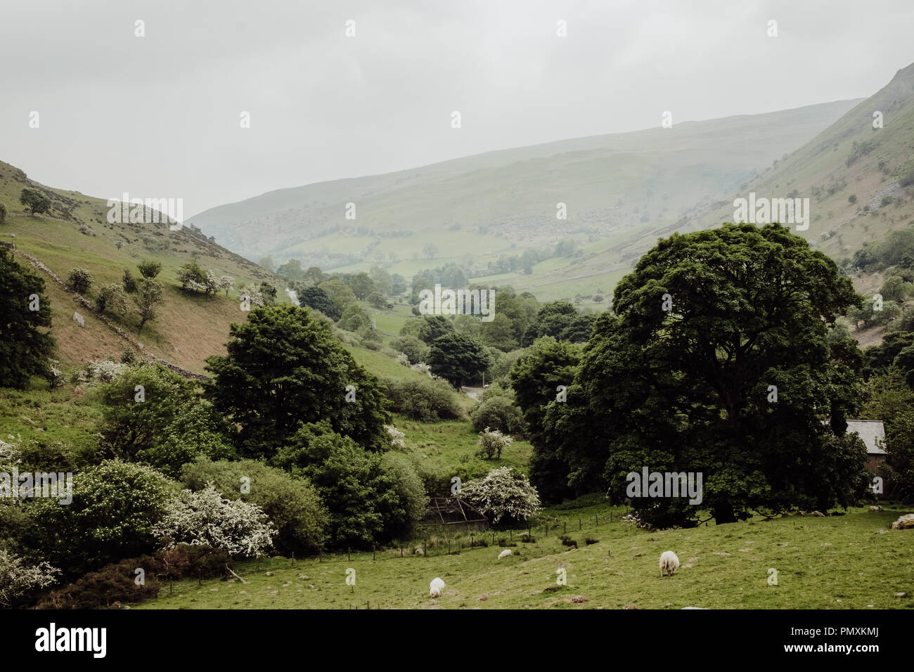 Hiking the landscape by Pistyll Rhaeadr waterfall in North Wales Stock ...