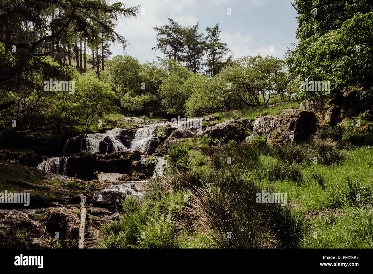 Hiking the landscape by Pistyll Rhaeadr waterfall in North Wales Stock ...