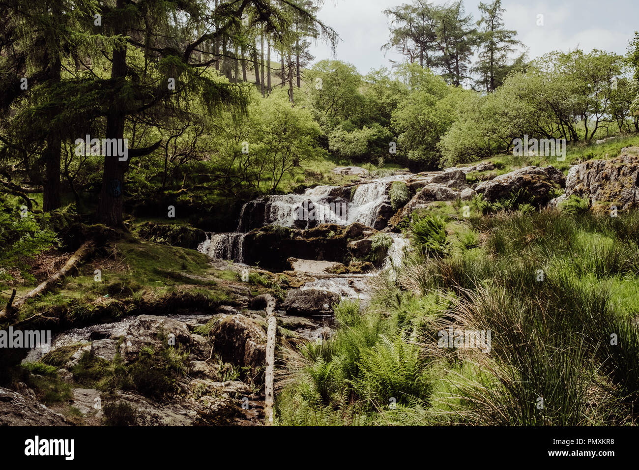 Hiking the landscape by Pistyll Rhaeadr waterfall in North Wales Stock ...