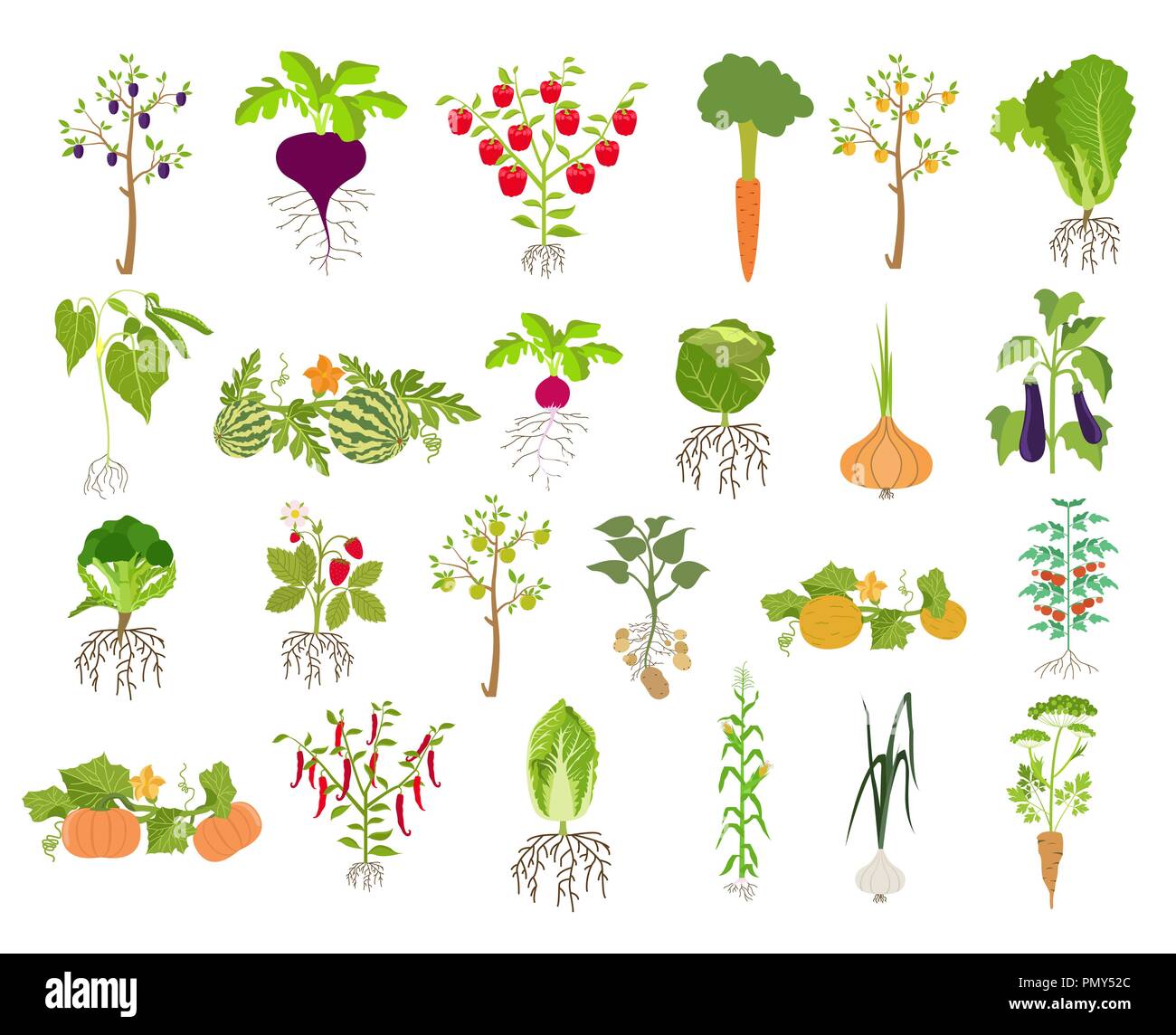 Fruits and vegetables. Nutrition. Icon set. Vector illustration Stock ...
