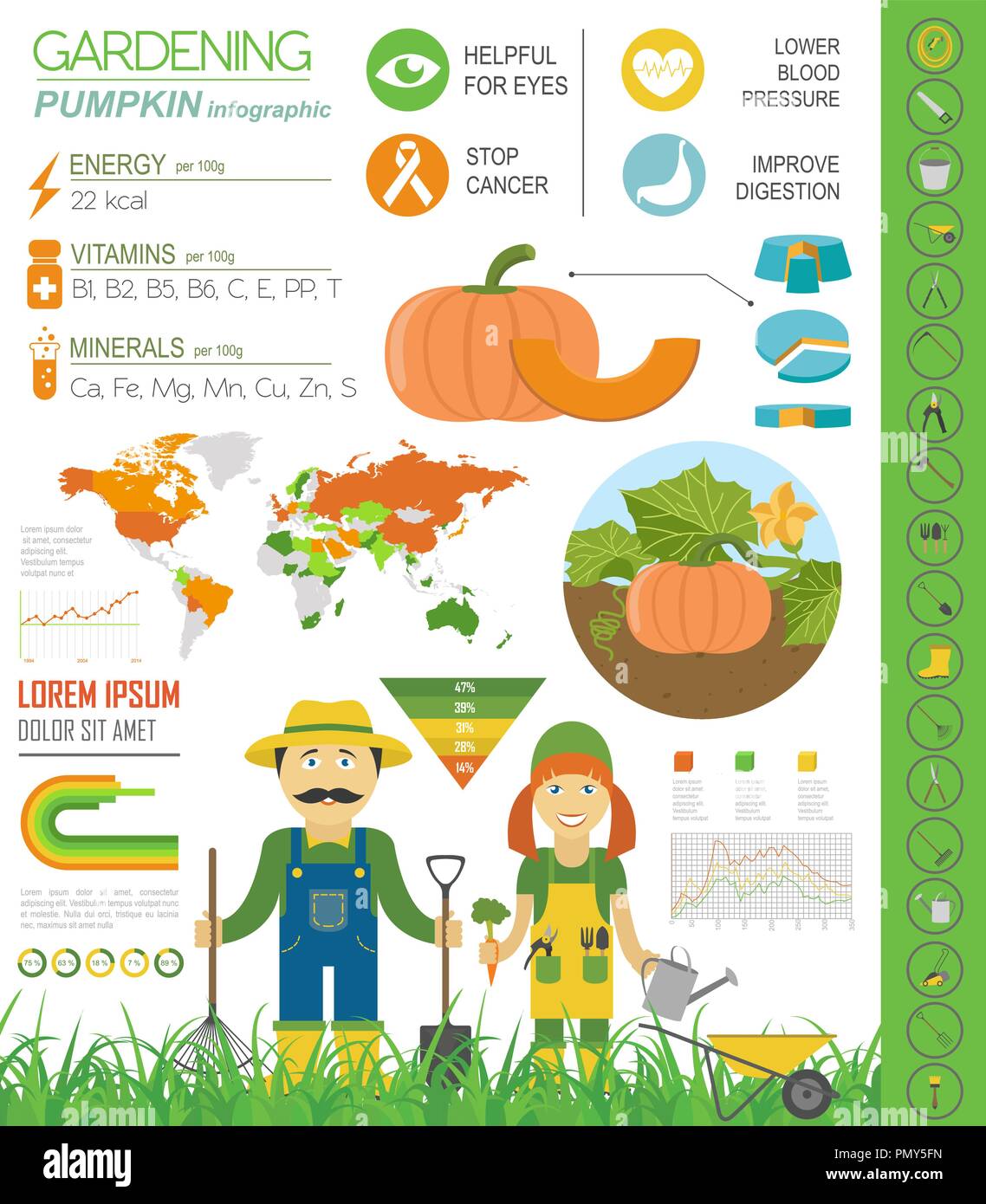 Gardening work, farming infographic. Pumpkin. Graphic template. Flat ...