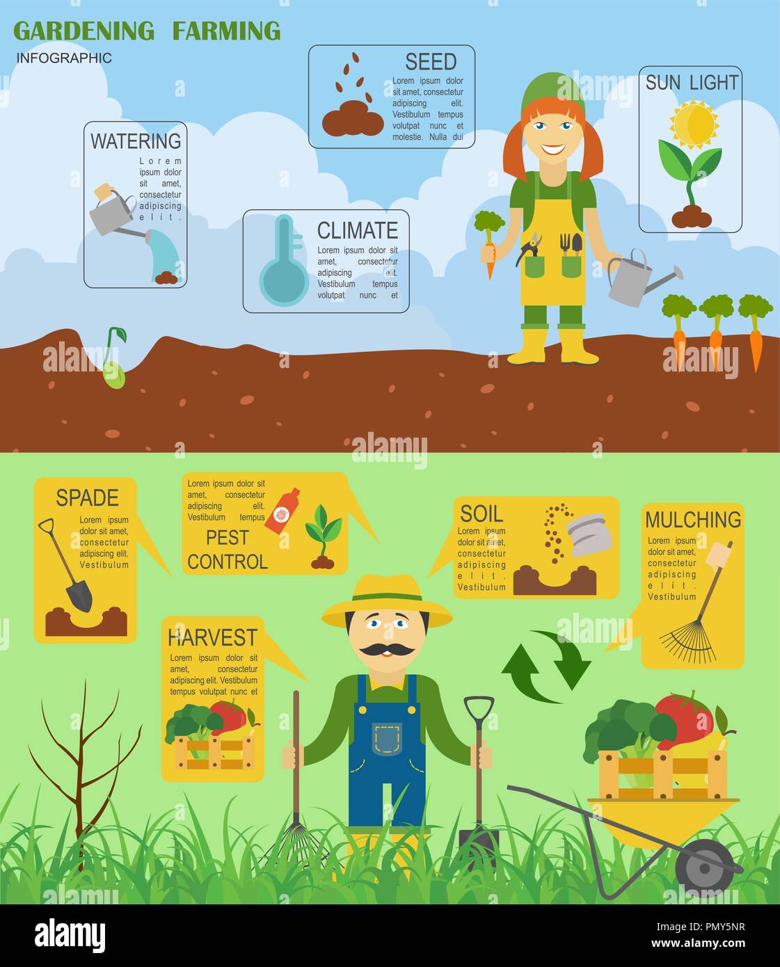 Gardening work, farming infographic. Graphic template. Flat style ...
