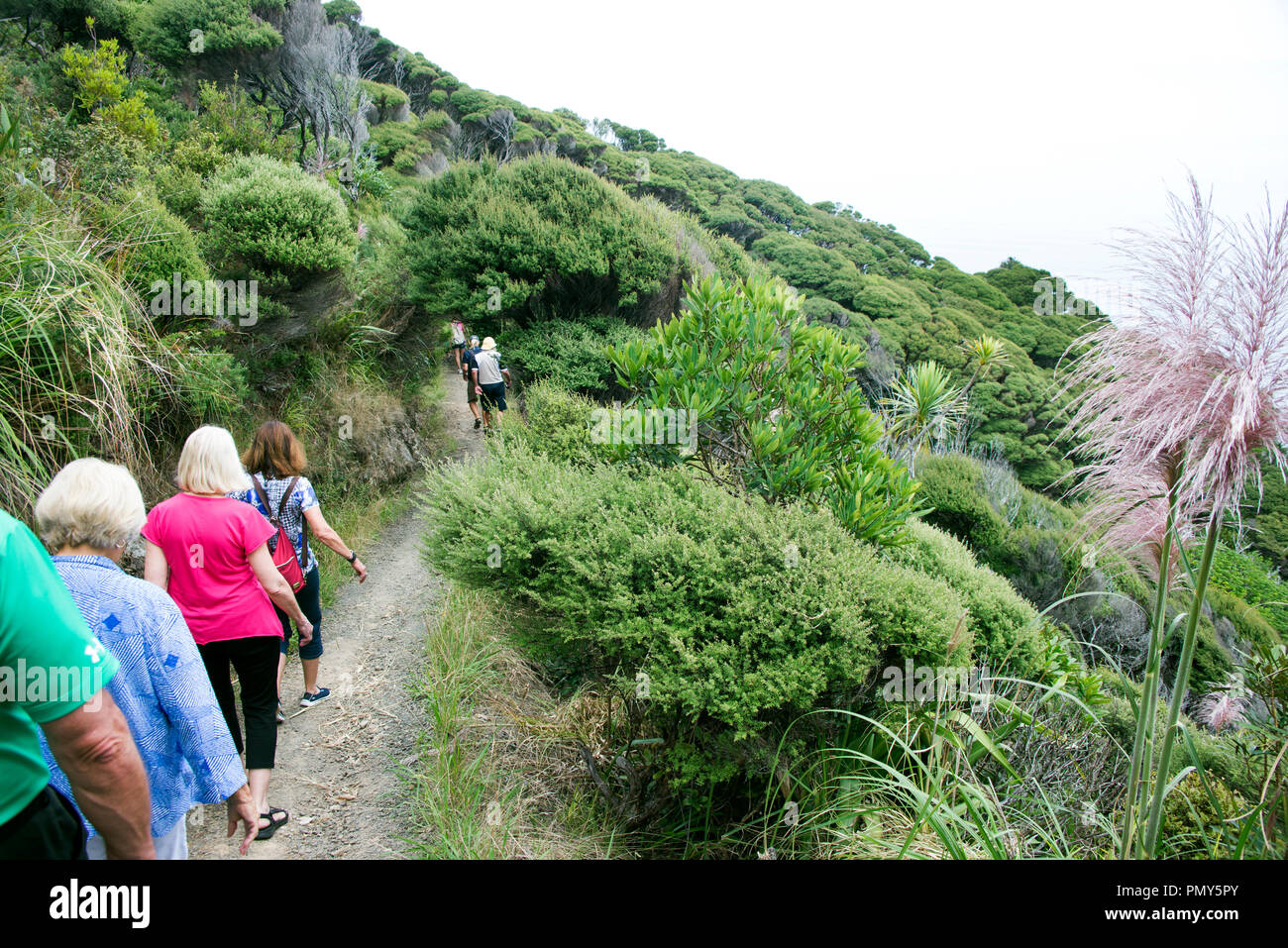 People walk along the Hillary Trail to see wild terrain and beautiful ...