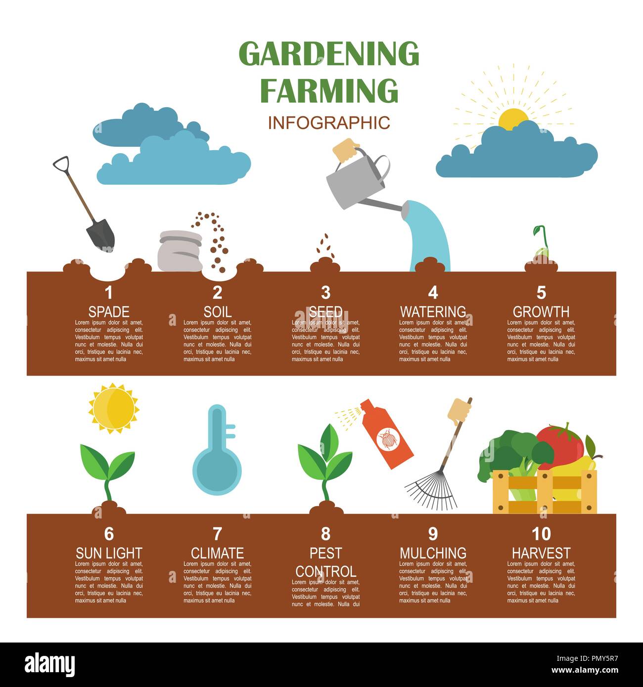 Vegetables flower bed Stock Vector Images - Alamy