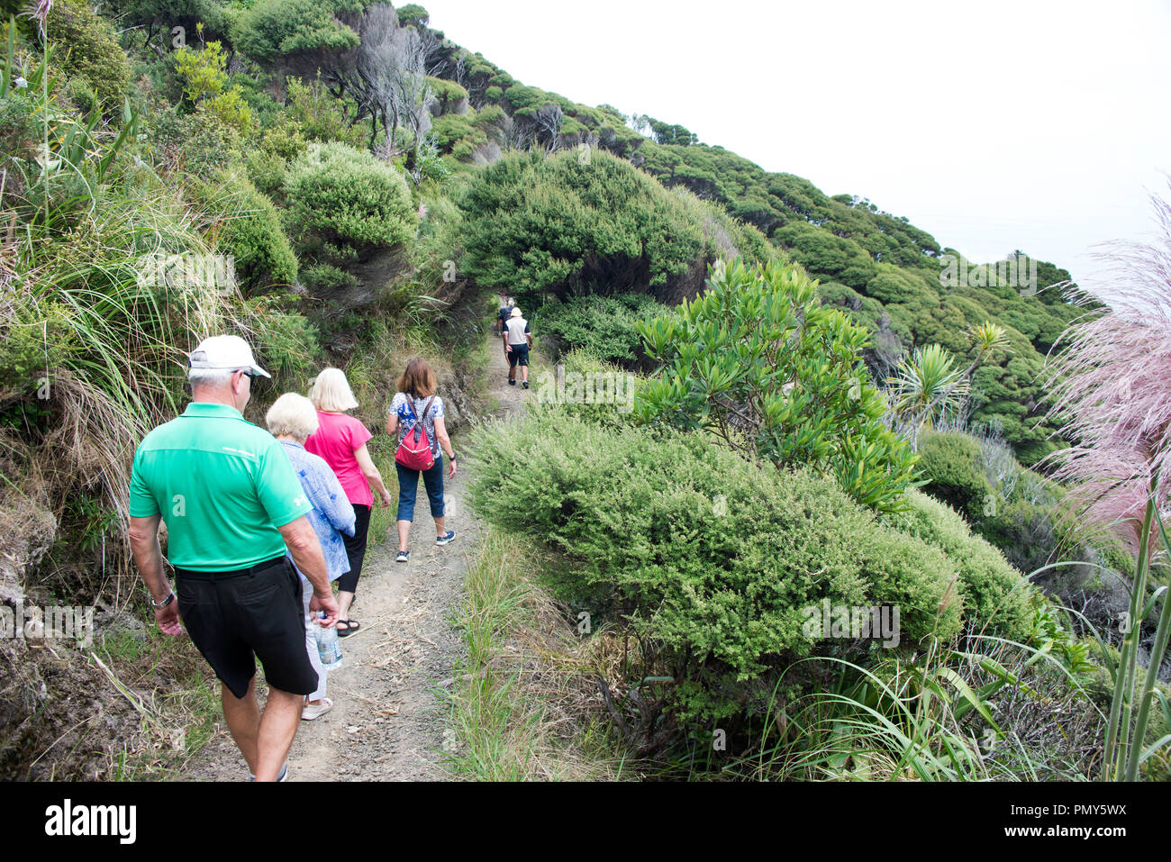 People walk along the Hillary Trail to see wild terrain and beautiful ...