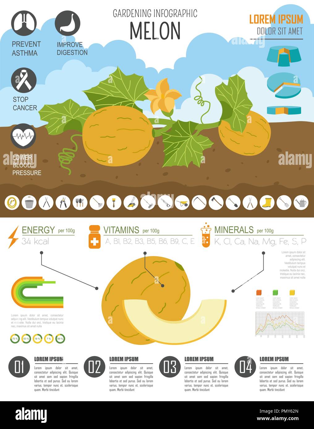 Melon field Stock Vector Images - Alamy