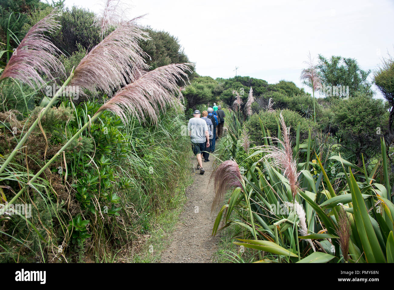 Hillary trail new zealand hi-res stock photography and images - Alamy