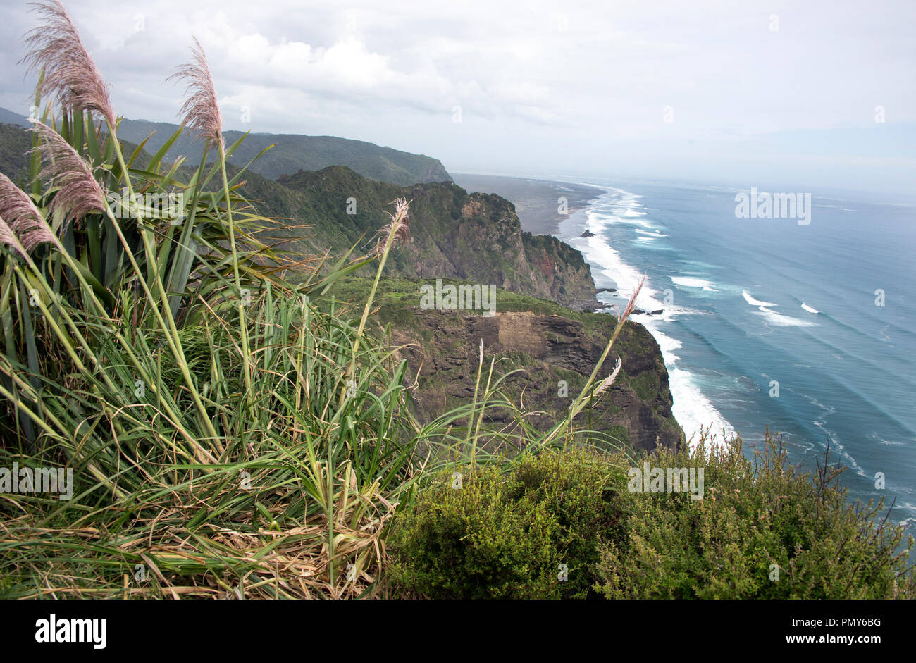 Hillary trail new zealand hi-res stock photography and images - Alamy