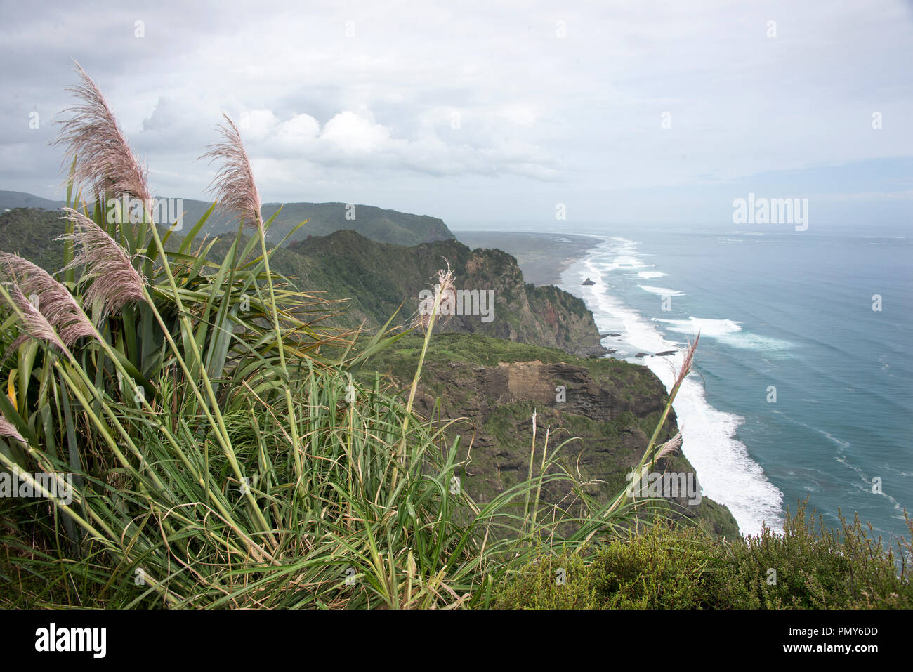 Hillary trail new zealand hi-res stock photography and images - Alamy