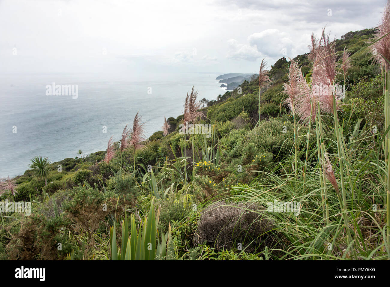 Hillary trail new zealand hi-res stock photography and images - Alamy