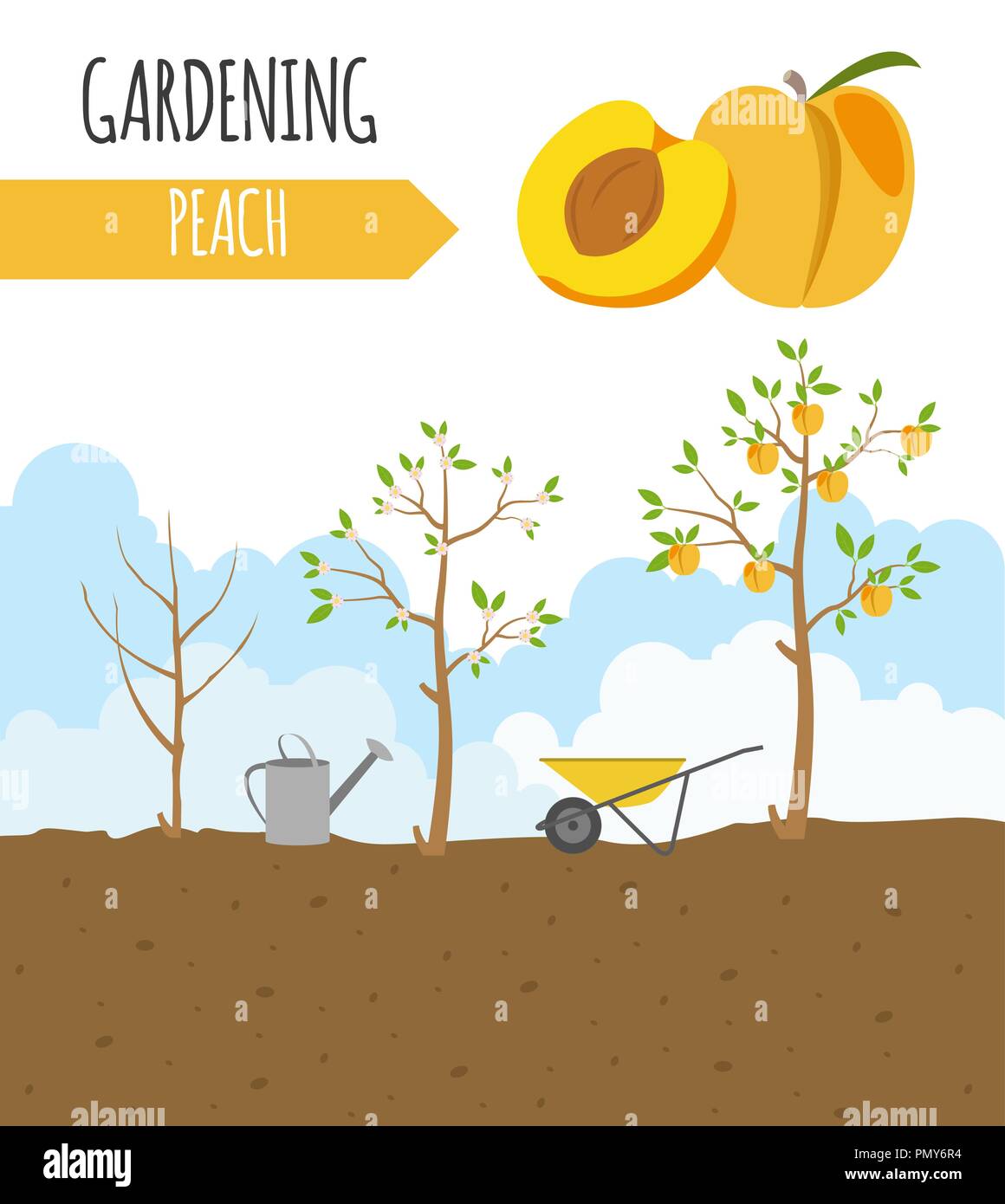 Peach tree garden Stock Vector Images - Alamy