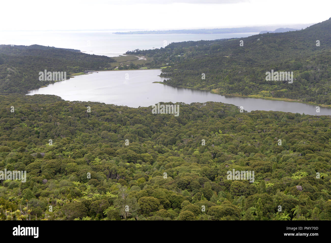 Waitakere range regional park hi-res stock photography and images - Alamy