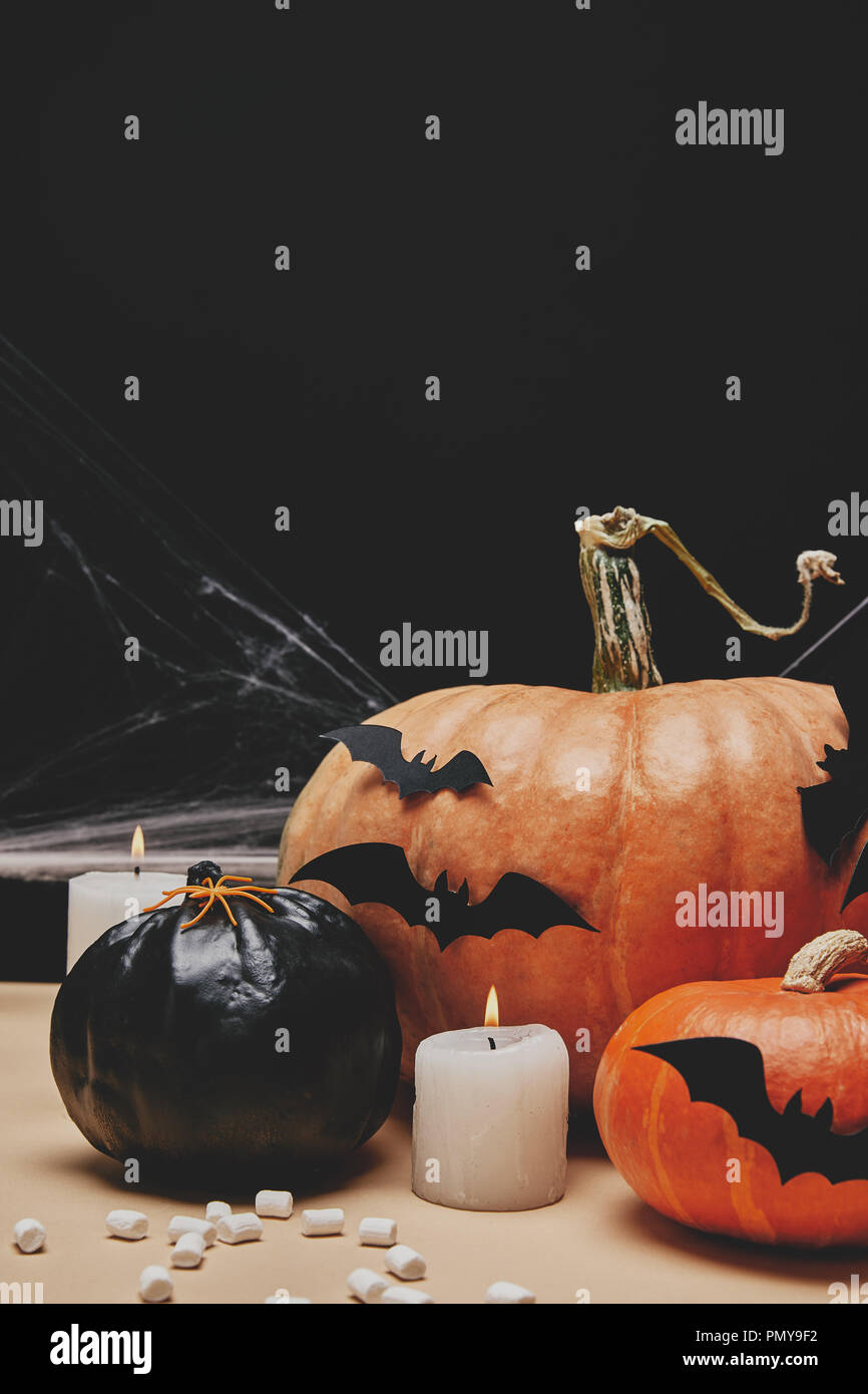 Paper bats spider on hi-res stock photography and images - Alamy