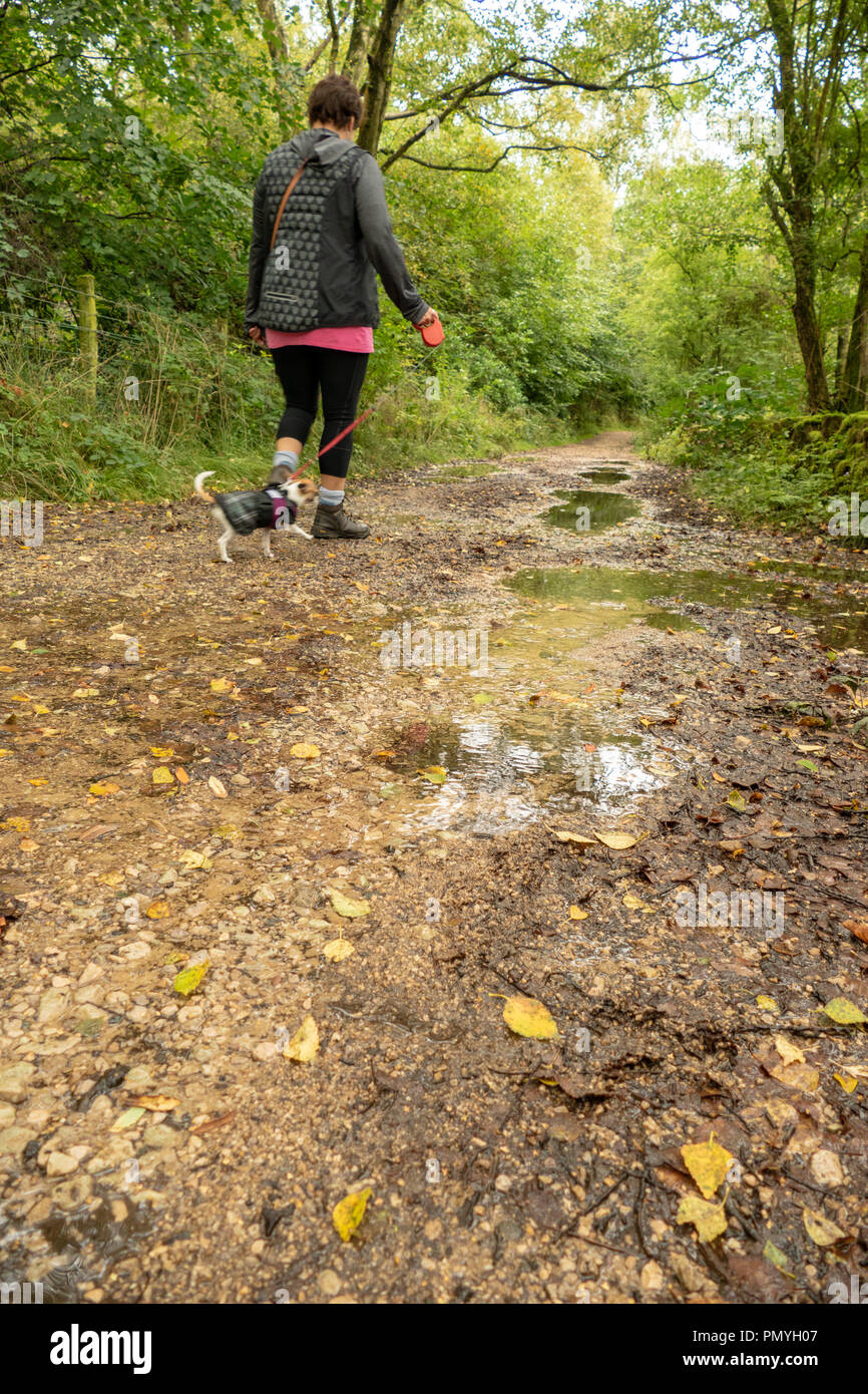 Walkers enjoying Nicky nook a small fell just outside Scorton in the ...