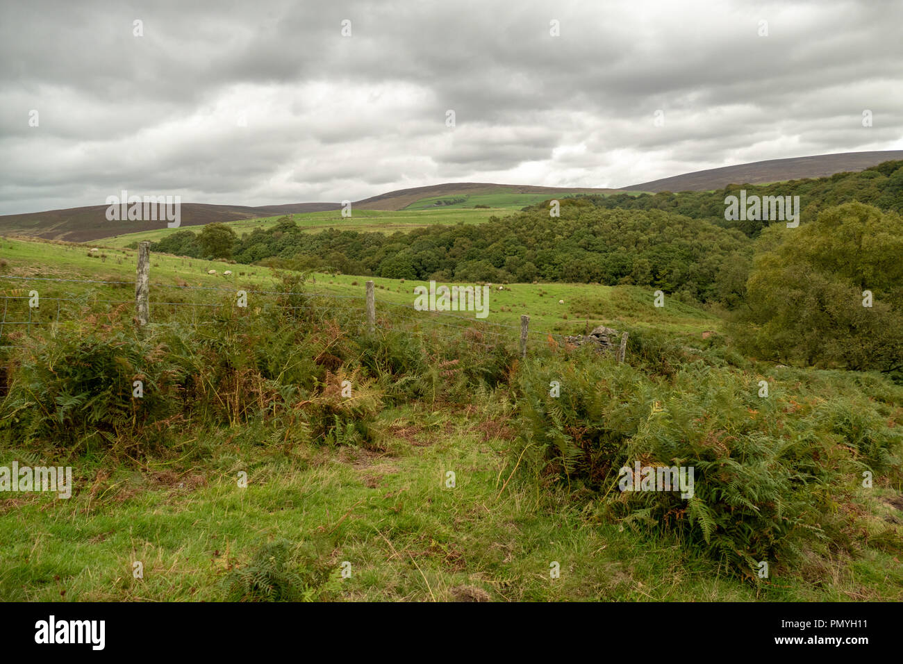 View from Nicky nook fell in the Forest of Bowland Stock Photo - Alamy