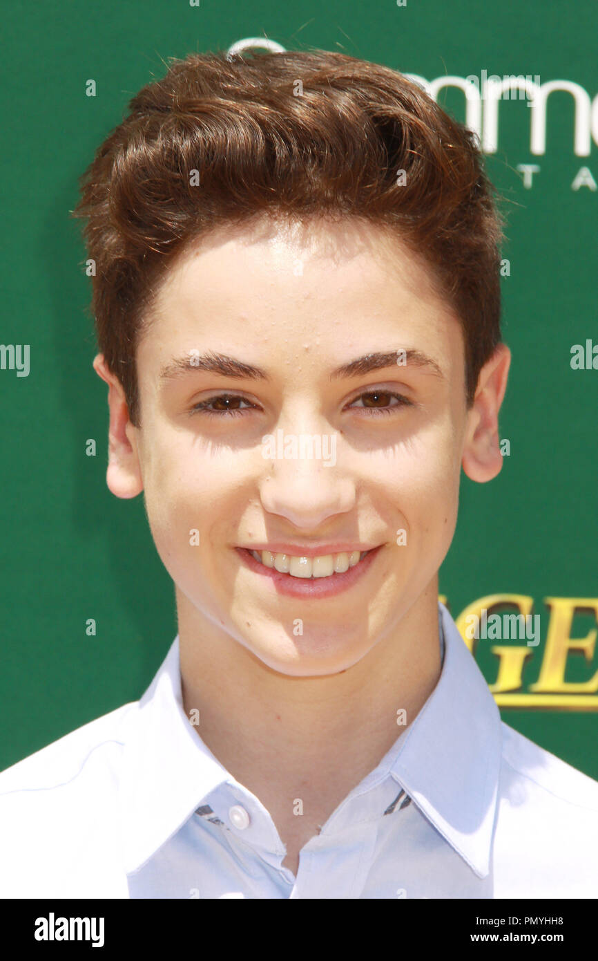 Teo Halm
