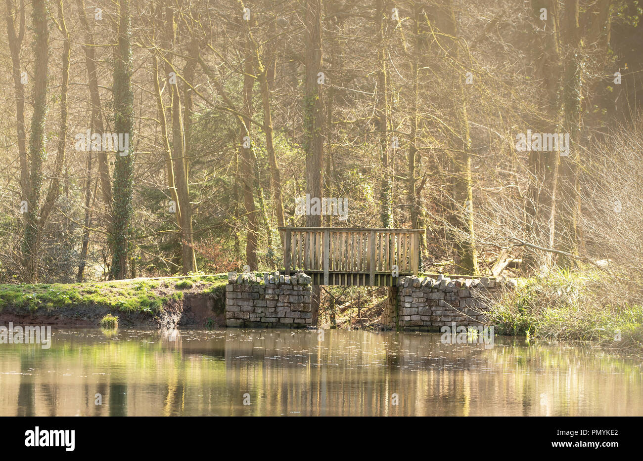 Forest Of Dean Stock Photo - Alamy