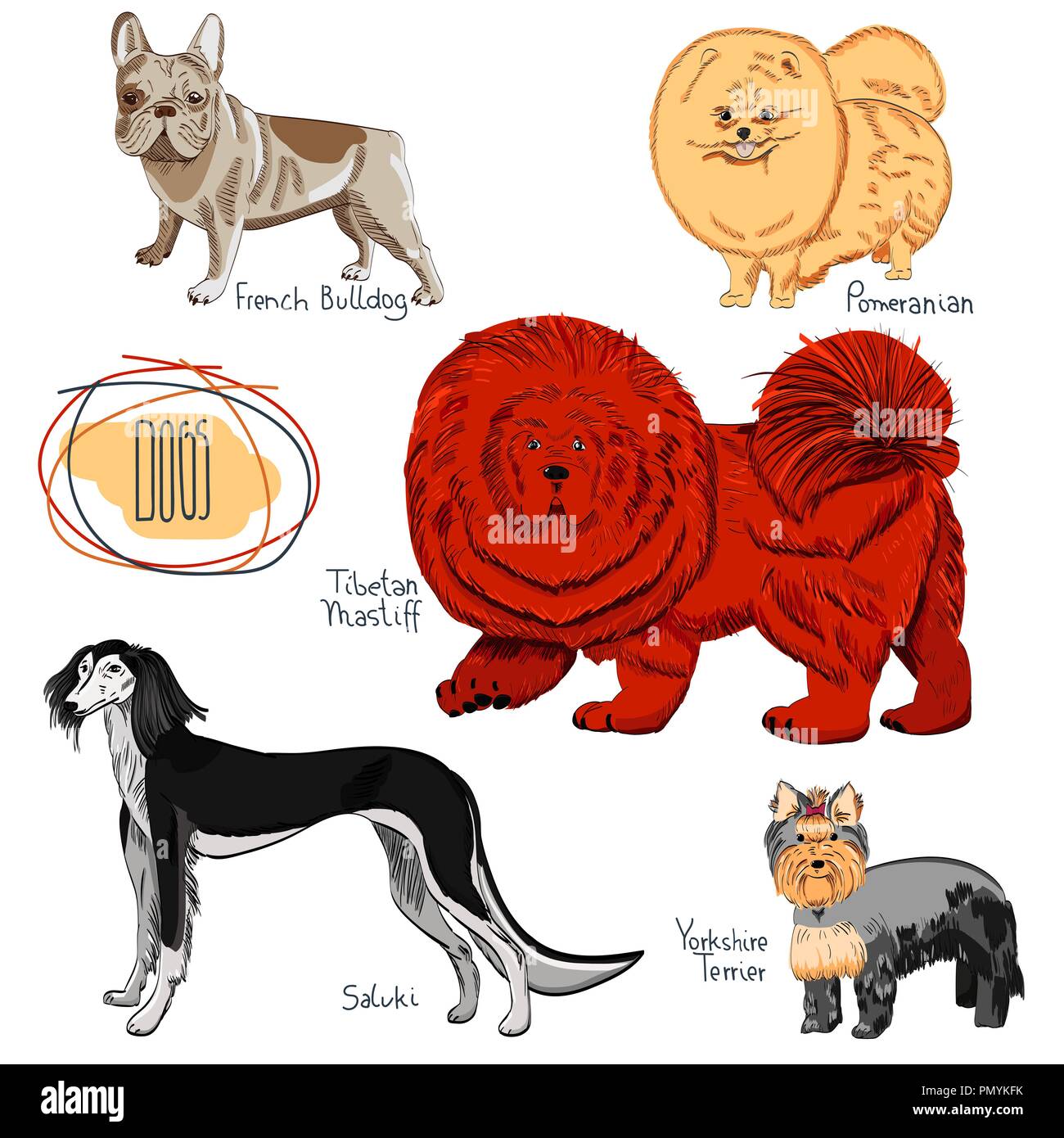 Dog collection on white background. Set of hand drawn purebred canines ...