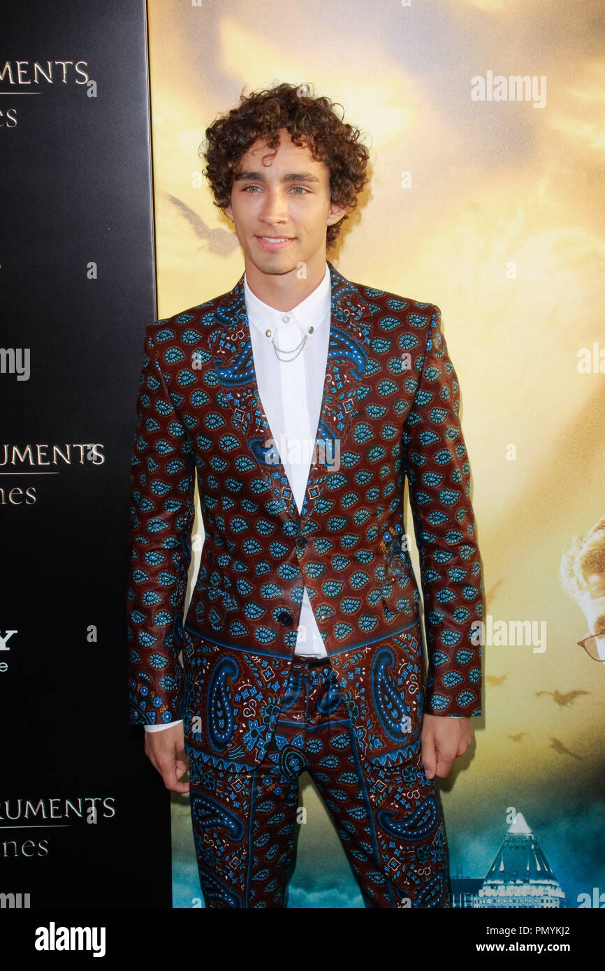 Robert Sheehan at the World Premiere of Screen Gems & Constantin Films ...