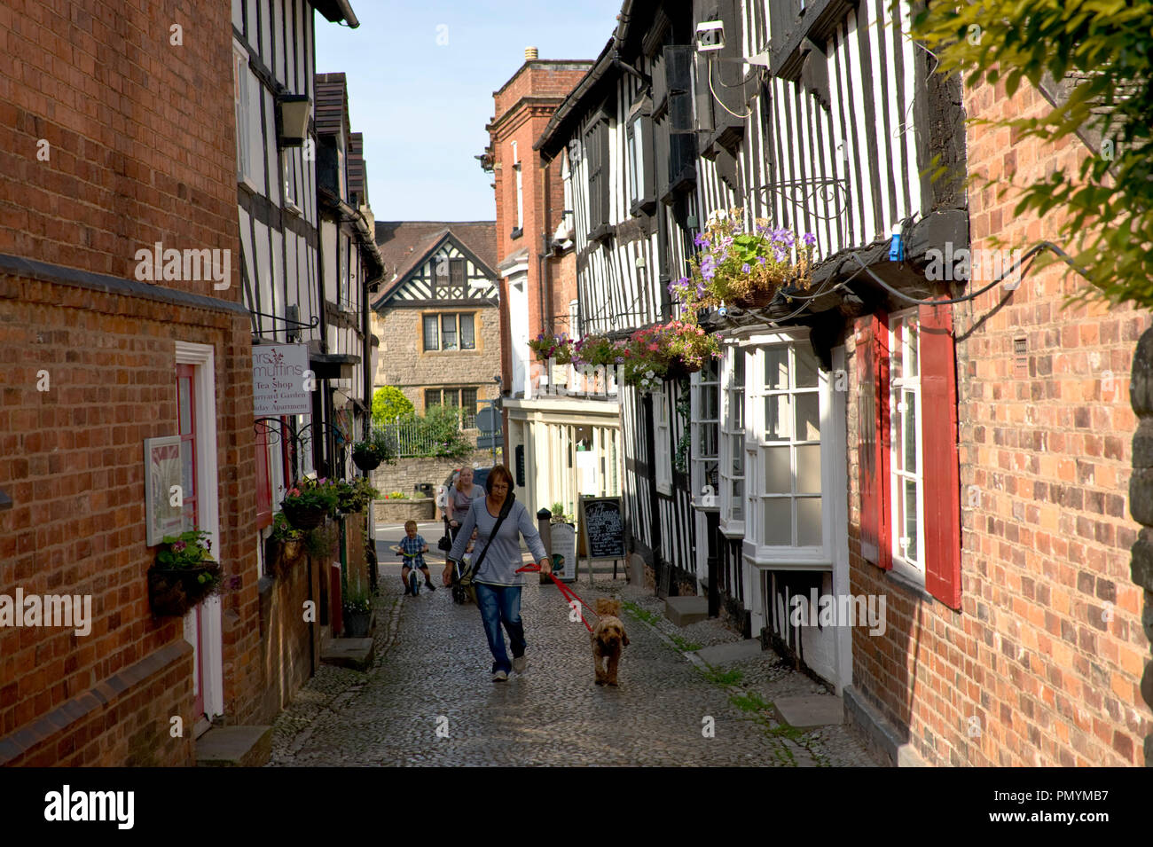 View of timber houses on Church Street Ledbury Herefordshire England UK ...