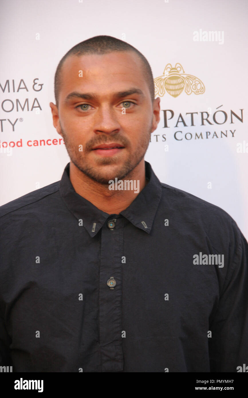 Jesse Williams 08/26/13 "Snake & Mongoose" Los Angeles Premiere held at ...