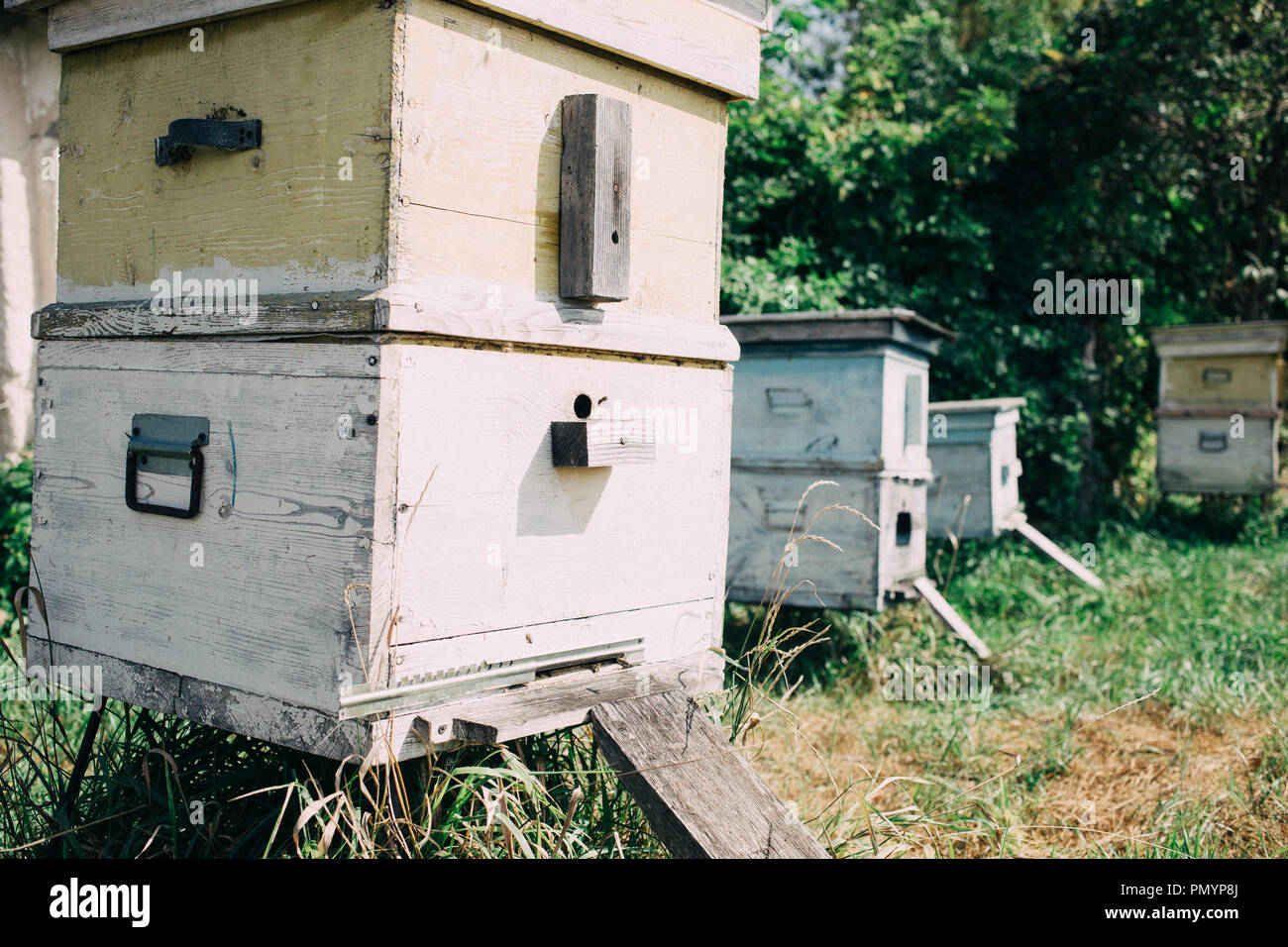 an old Hives of bees in the apiary Stock Photo - Alamy