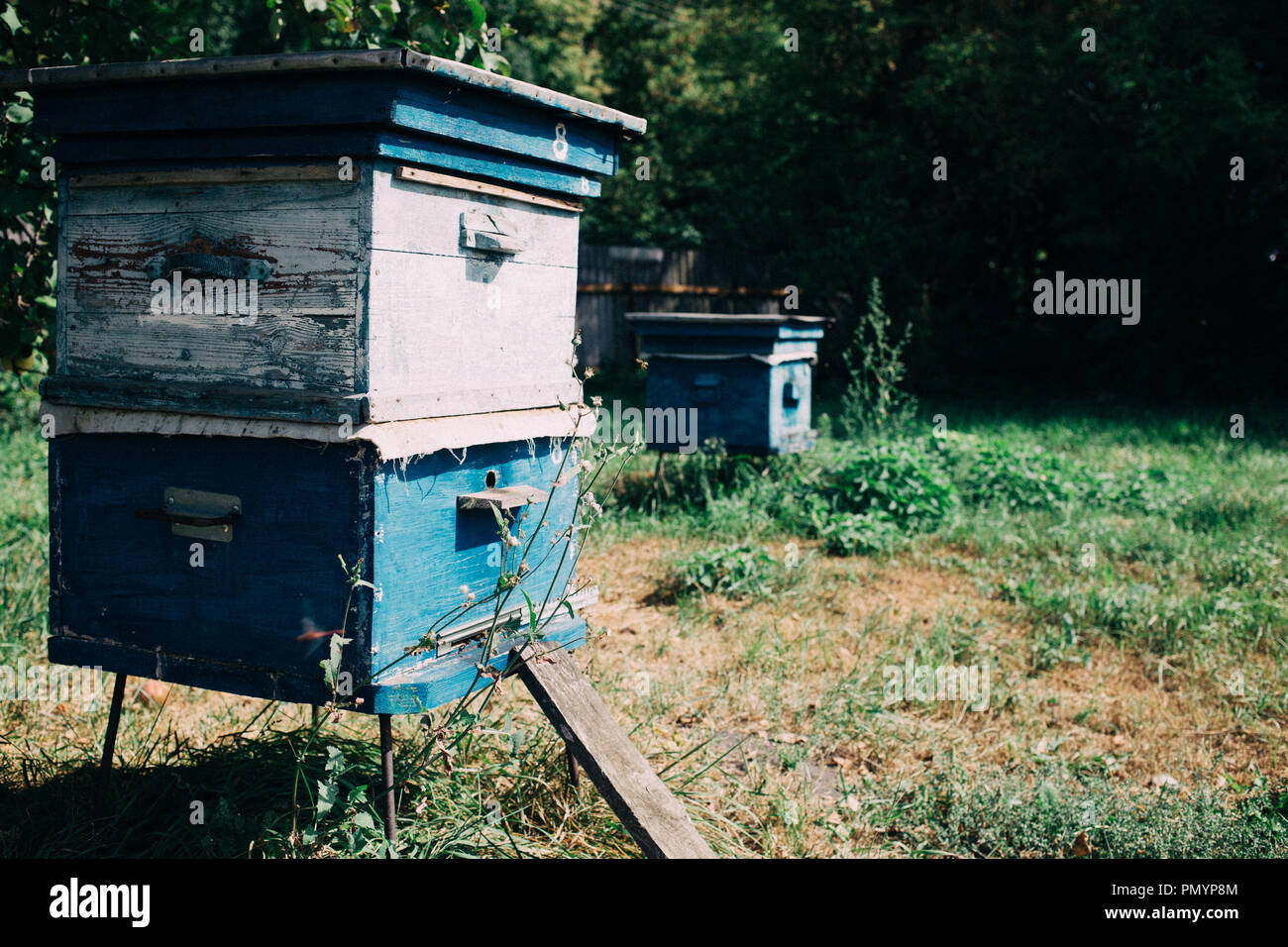 an old Hives of bees in the apiary Stock Photo - Alamy