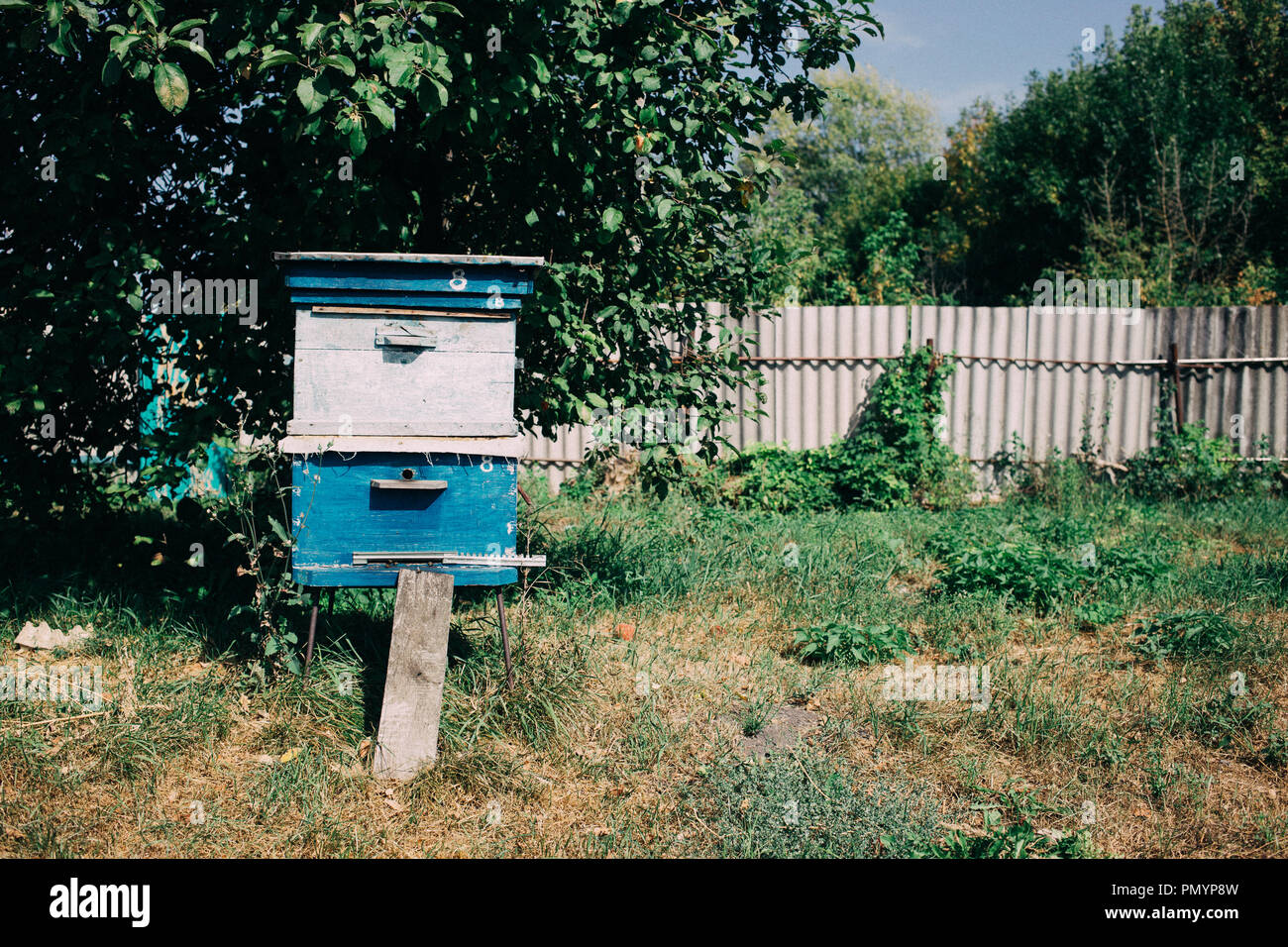 an old Hives of bees in the apiary Stock Photo - Alamy