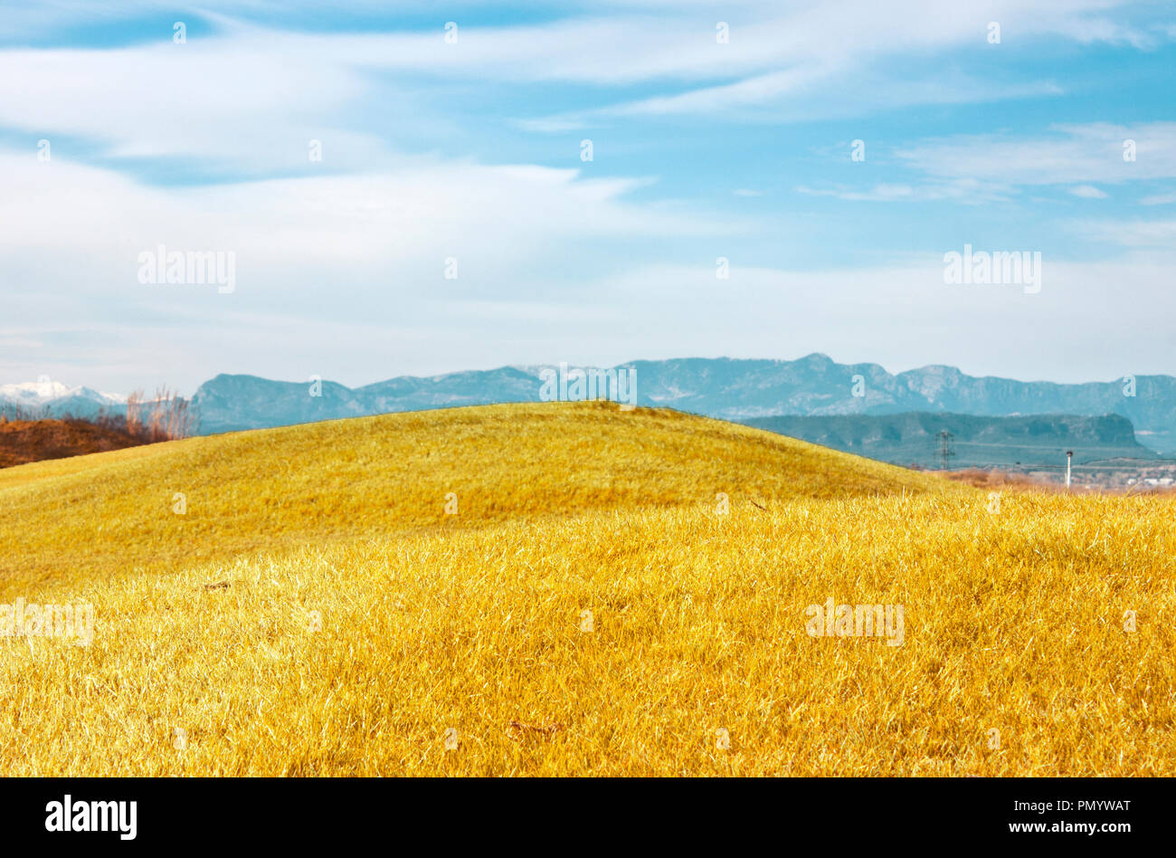 Autumn landscape. Yellow field meadow and a blue sky Stock Photo - Alamy