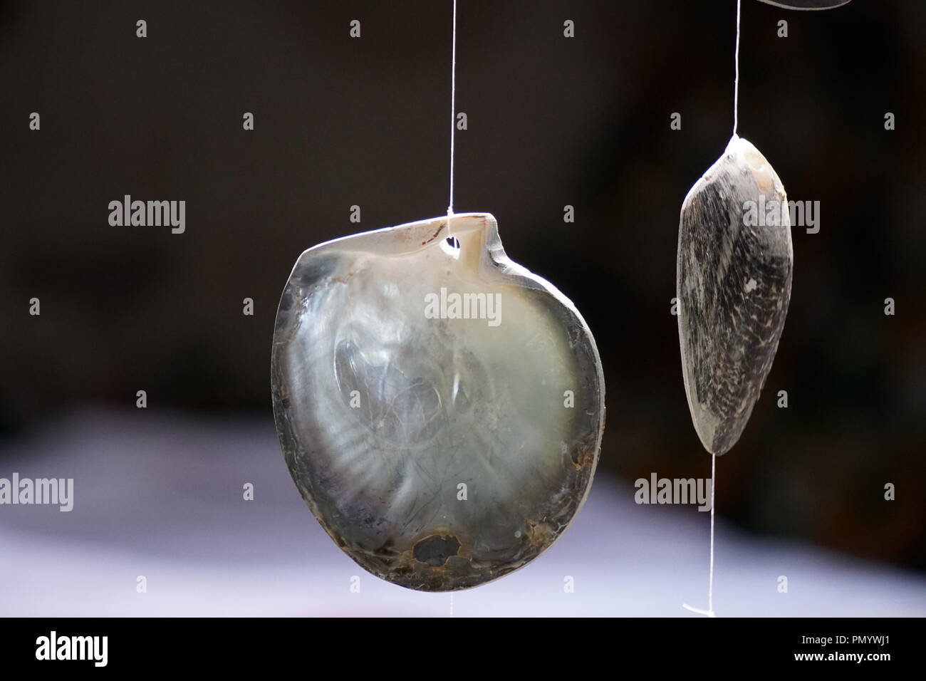 Necklage hi-res stock photography and images - Alamy