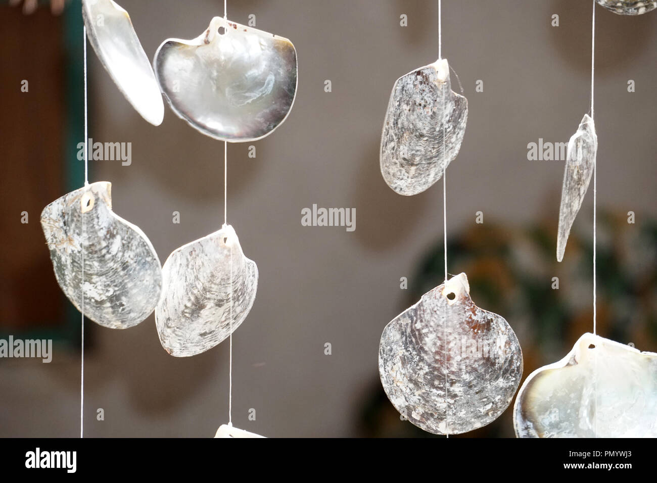 Polynesia shell necklage close up Stock Photo - Alamy