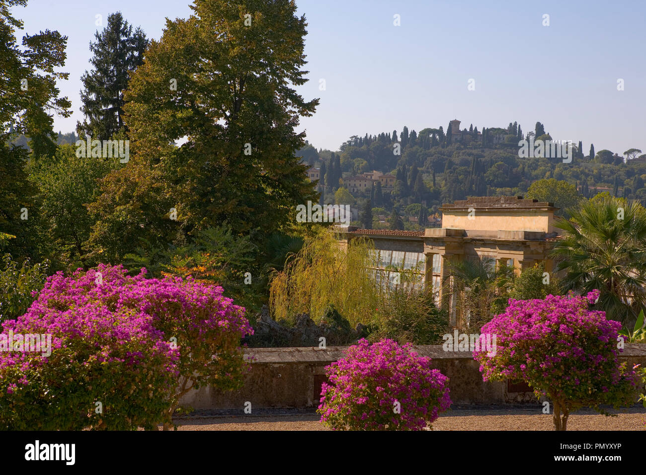Towards the Lemon House, Boboli Gardens, Florence, Tuscany, Italy Stock ...