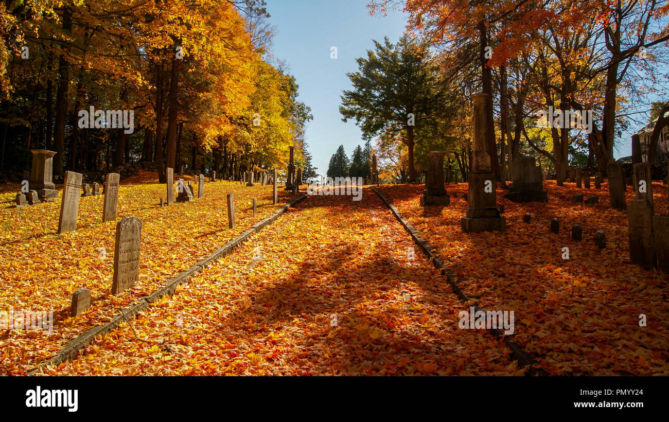 Old cemetery landscape during the autum fall halloween covered in ...