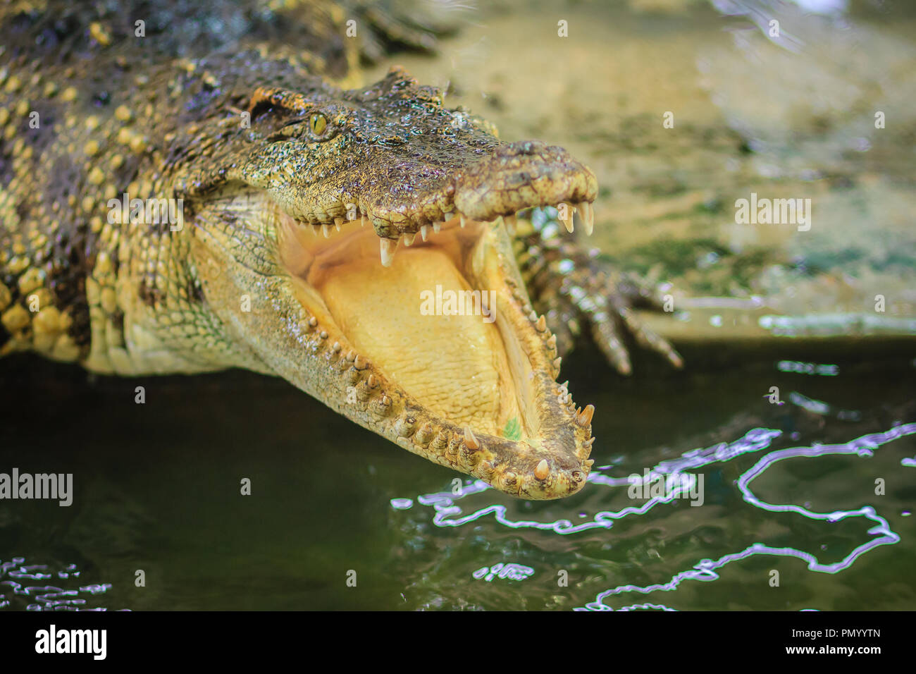 Destructive monster hi-res stock photography and images - Alamy