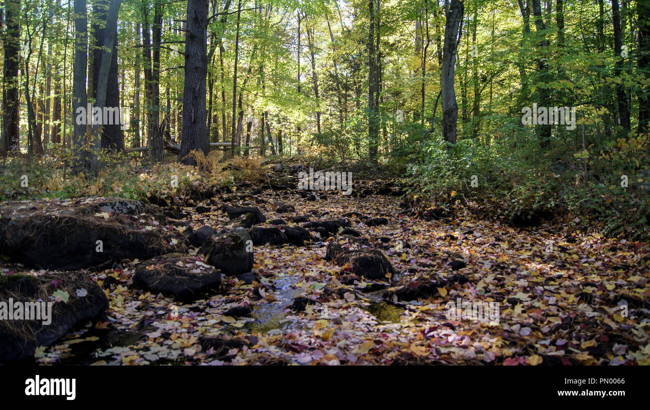 Small river crossing hi-res stock photography and images - Alamy