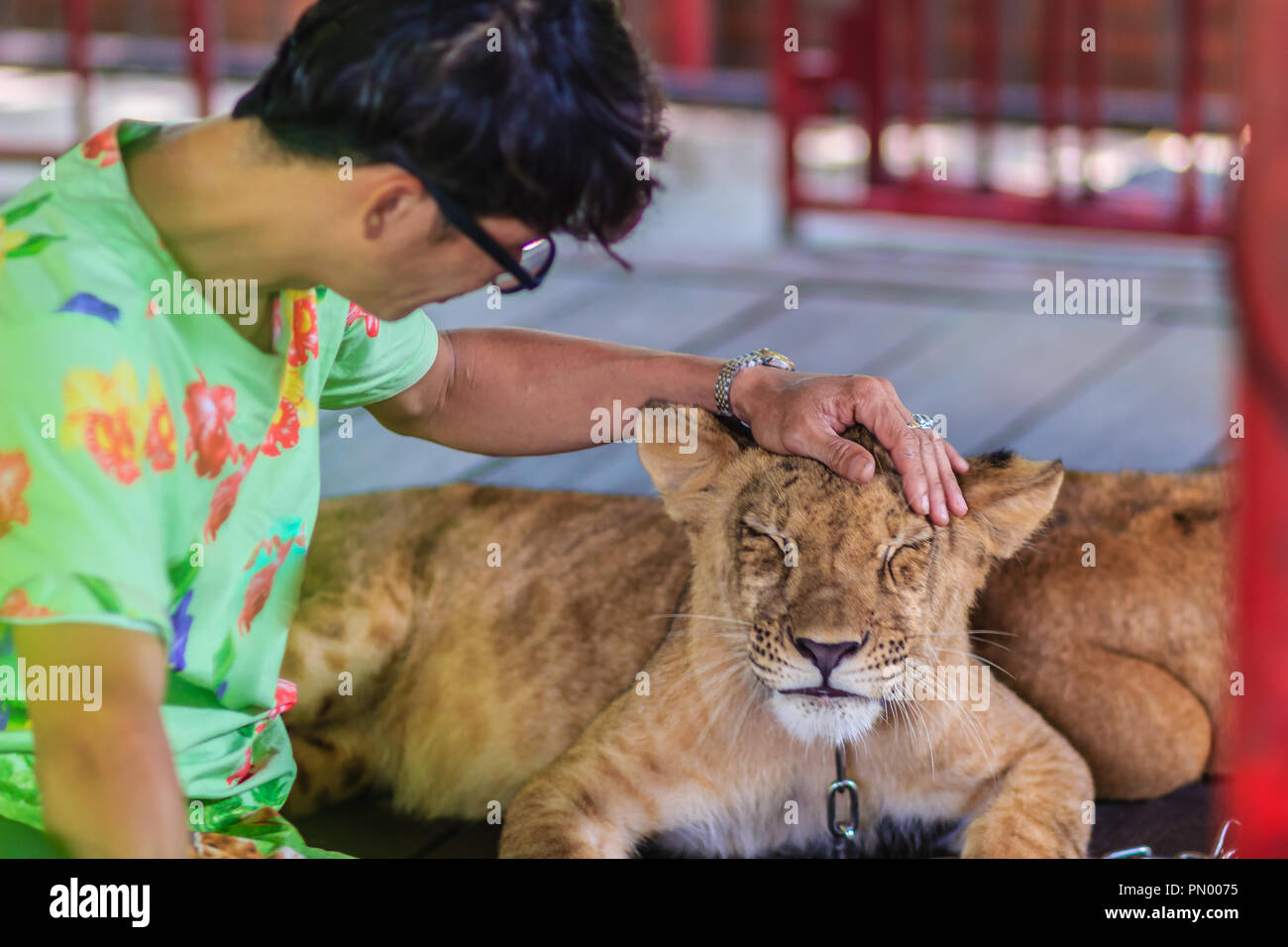 Chained lion hi-res stock photography and images - Alamy