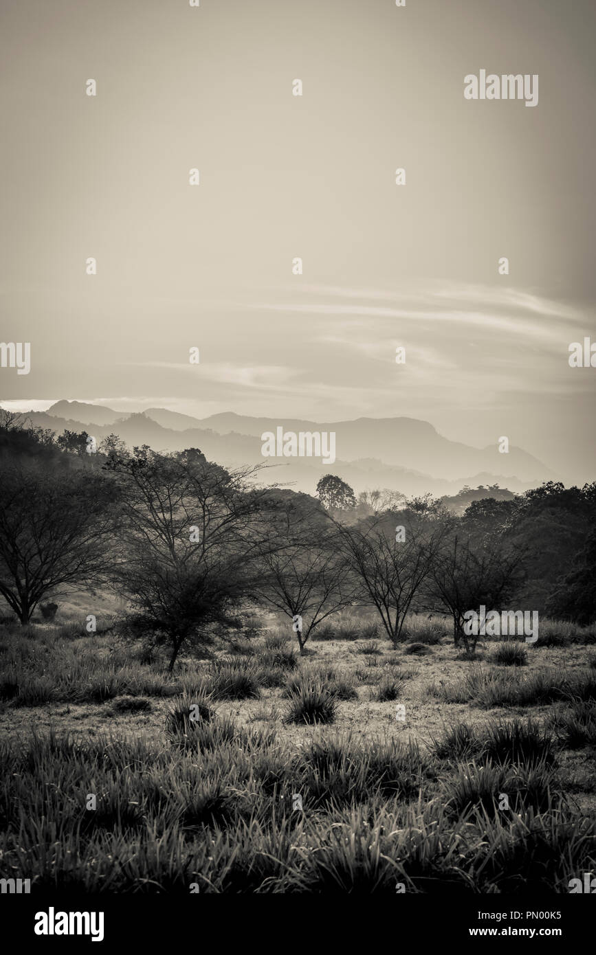 Landscape, Chiapas, Mexico Stock Photo - Alamy