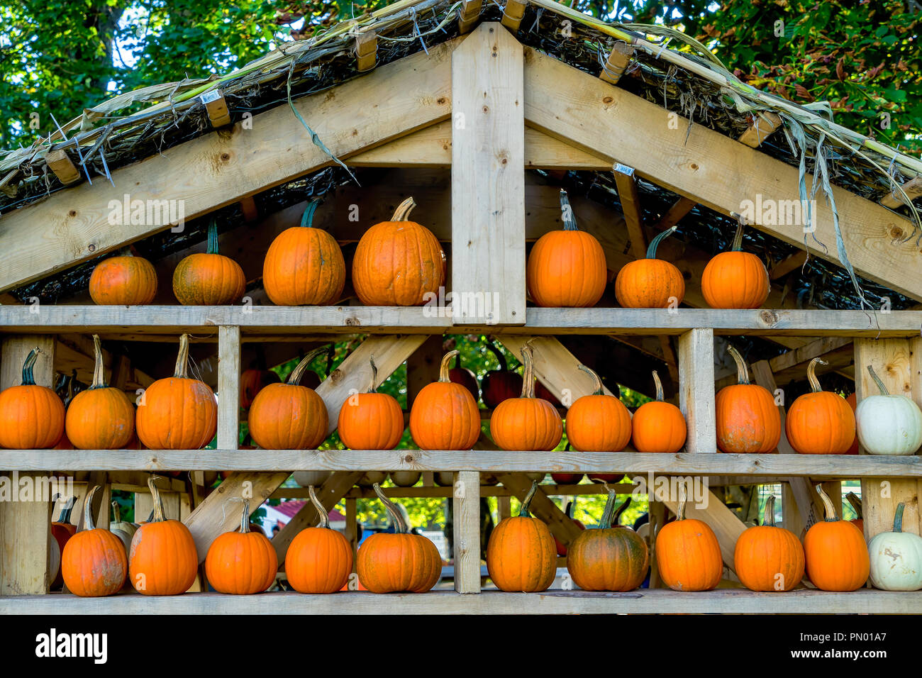 Retail display of a building full of pumpkins Stock Photo - Alamy