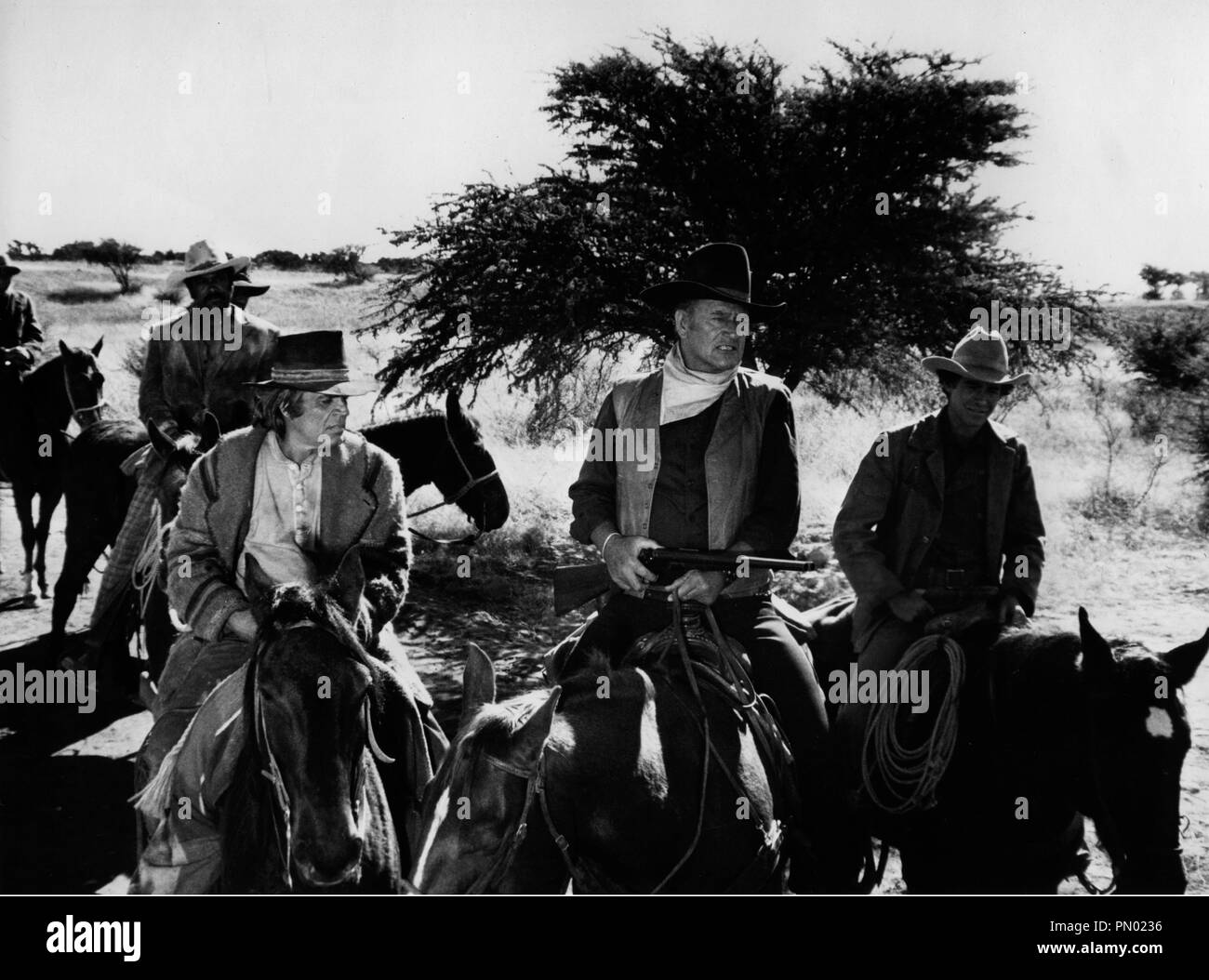 John Wayne Cow Stock Photos & John Wayne Cow Stock Images - Alamy