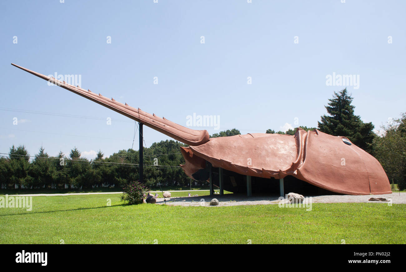 World's Largest Horseshoe Crab in Hilsboro Ohio Stock Photo - Alamy