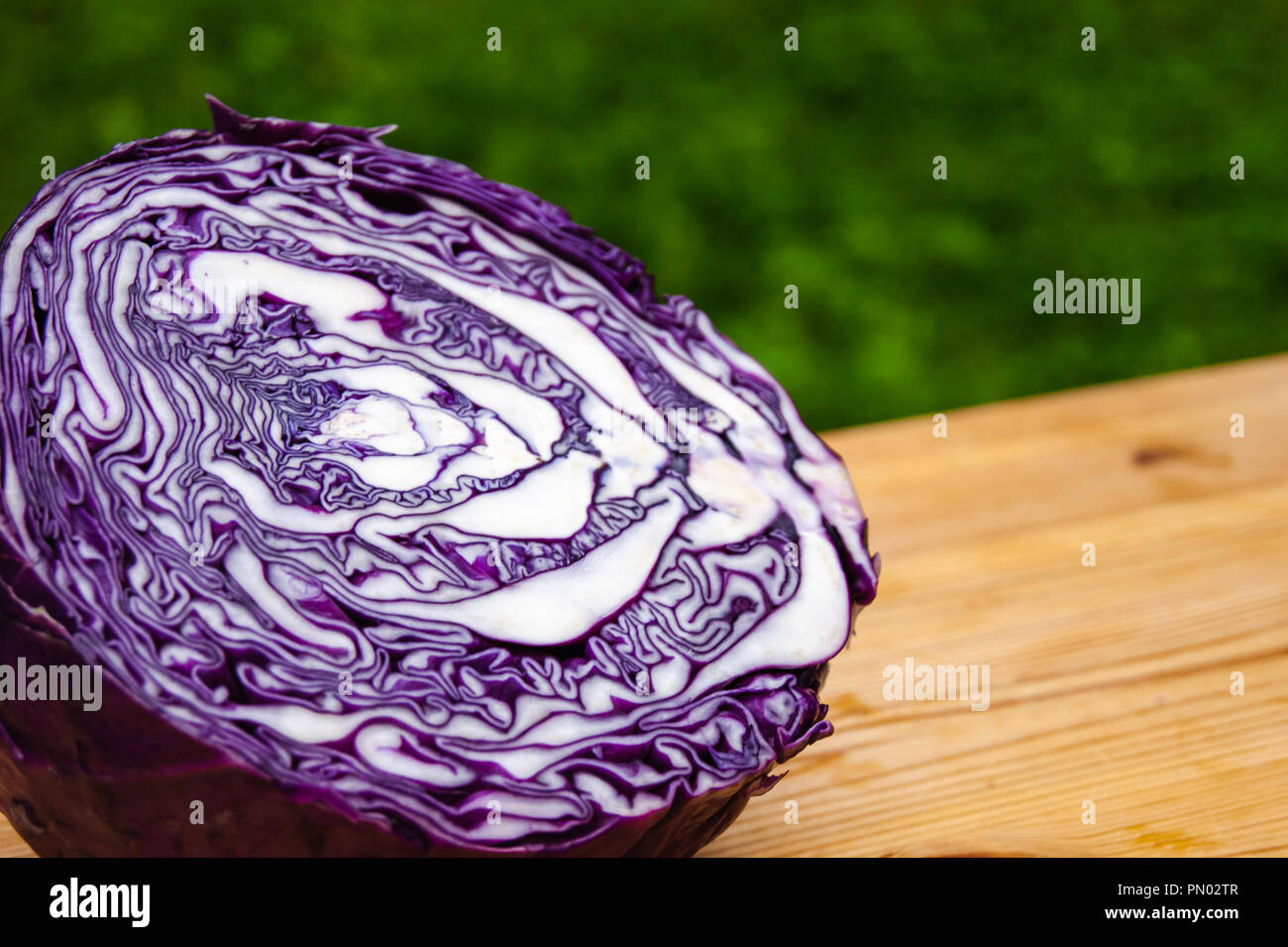 Cut red cabbage on cutting board. Culinary still life outdoors Stock ...
