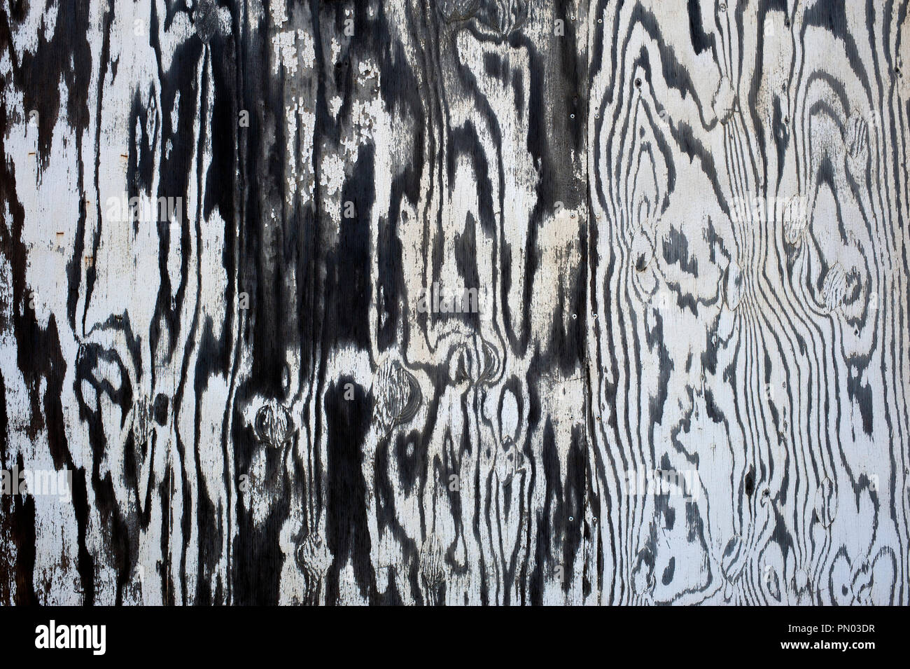 Stained wood siding along side of building Stock Photo - Alamy