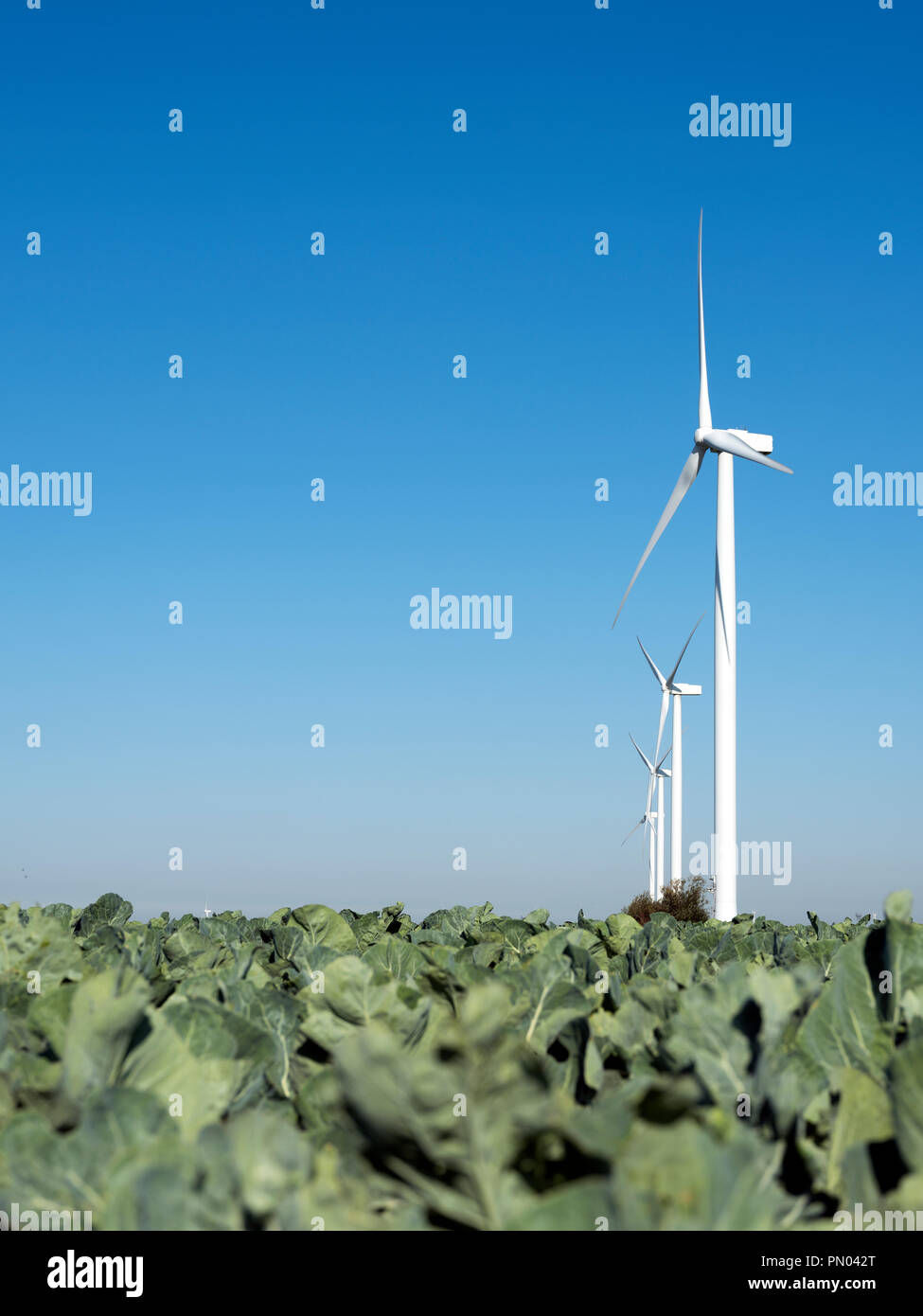 White wind turbine hi-res stock photography and images - Alamy
