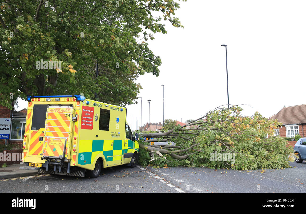 An ambulance which crashed into a fallen tree in Newcastle as the Met ...